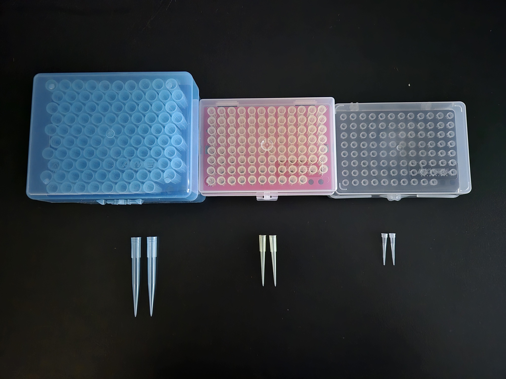 Axygen 100~1000uL Pipet Tips, Bevelled, Blue, Non-Sterile, Bulk Pack ...